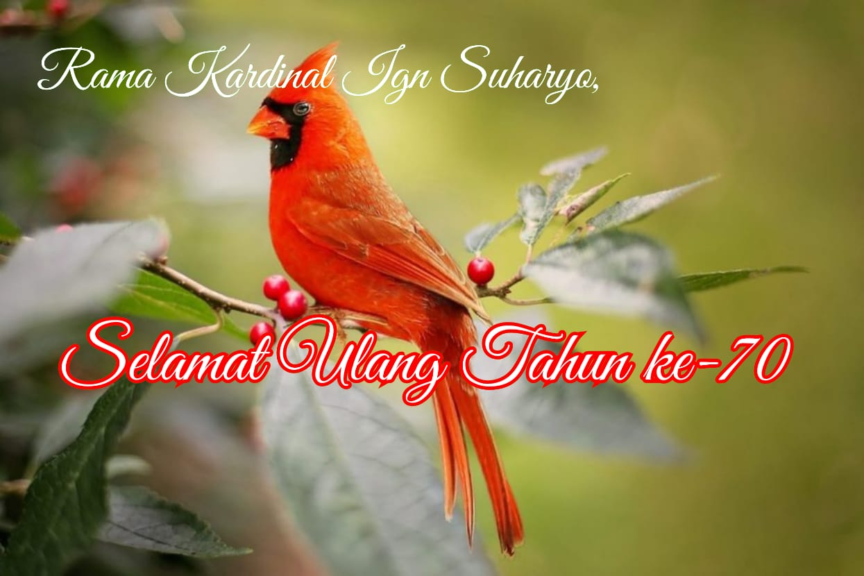70 Tahun Kardinal Ignatius Suharyo – Membumikan Ide
